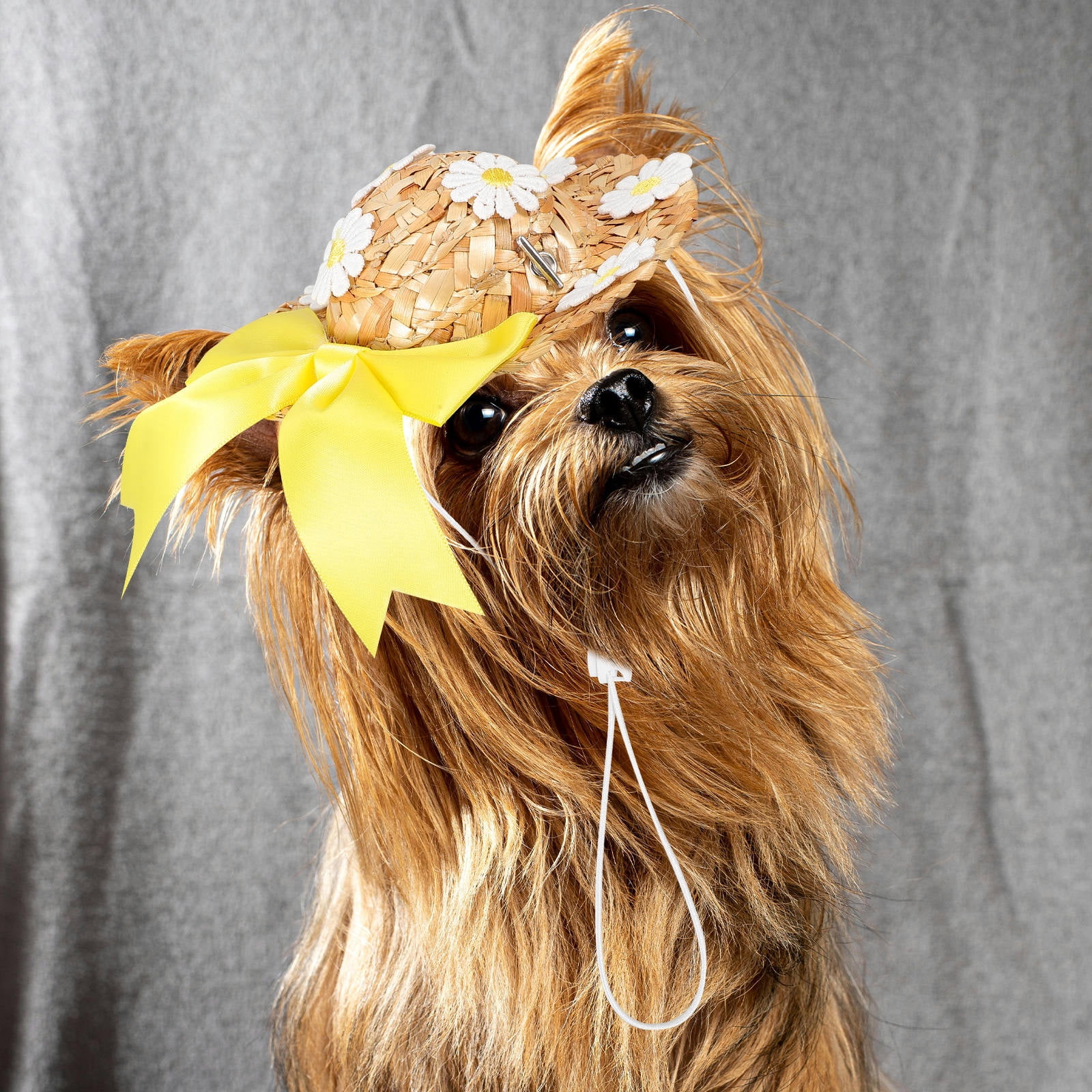 SOPOTUTU 3Pack Dog Hat for Pets in Yellow with Sun Protection - Walmart.com
