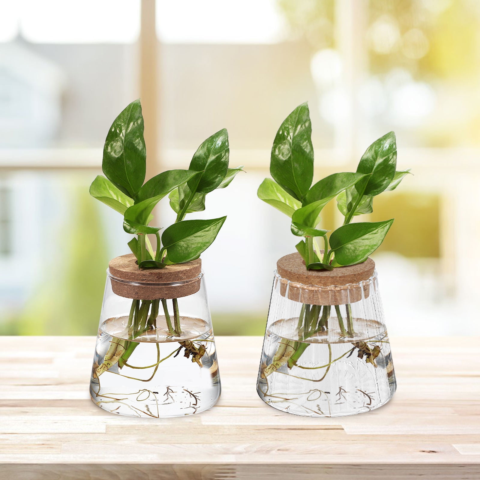 SOPOTUTU 3Pcs Modern Hydroponic Plant Vase for Women Propagation Cones ...