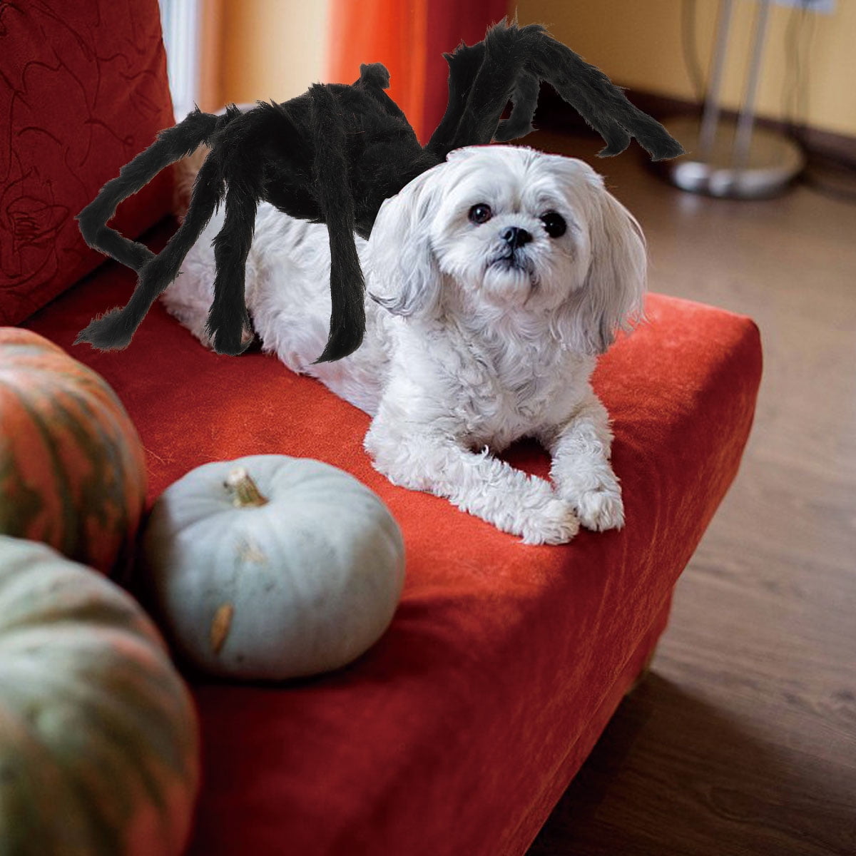 SOPOTUTU 54Set Plush Black Spider Style Pet Clothes for and Daily Life ...