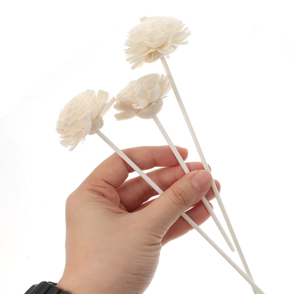 Reed Sticks