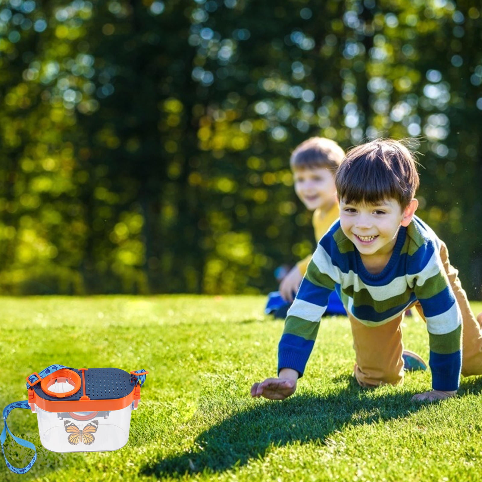 SOPOTUTU Childrens Insect Observation House 14.50x7.00x9.50cm for ...