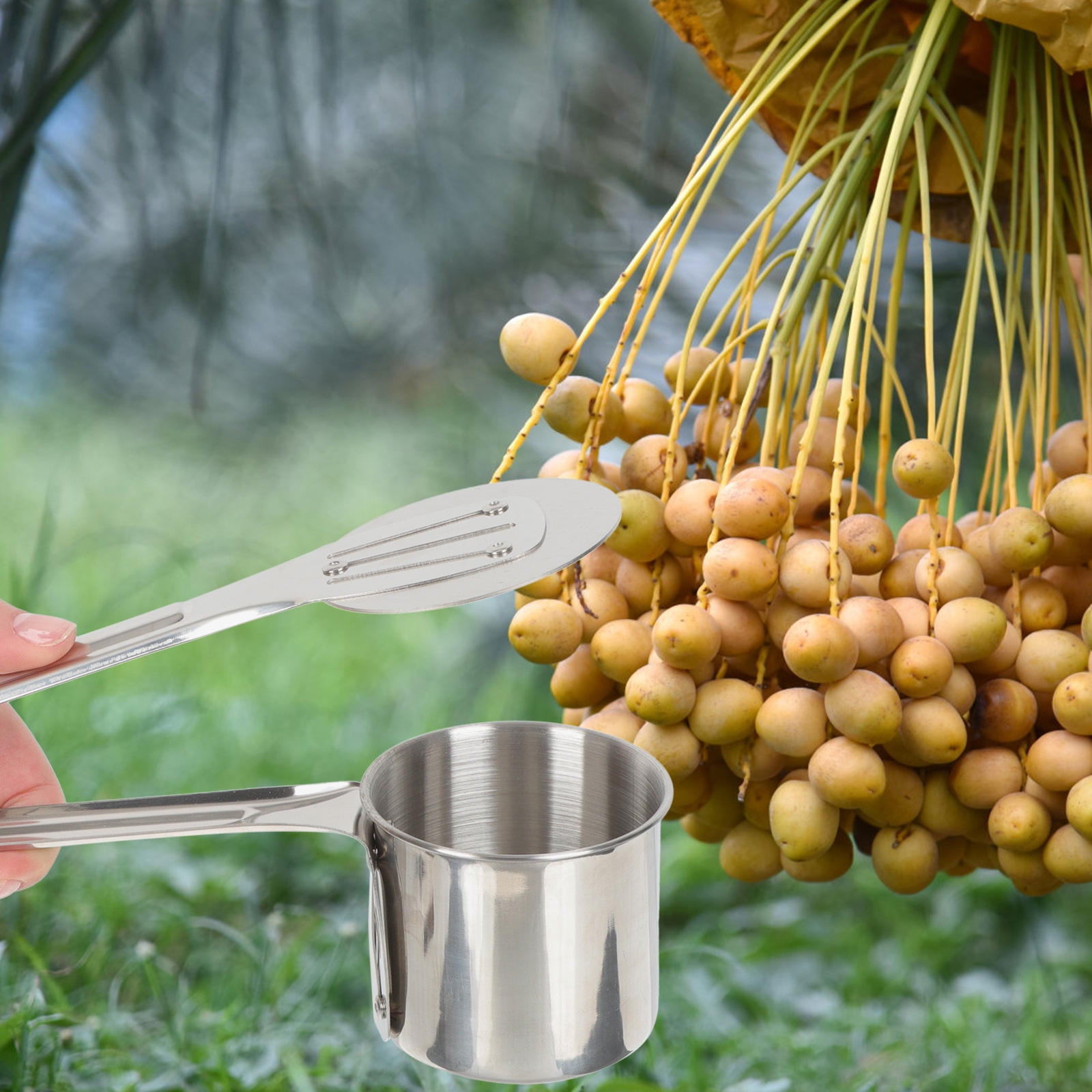 SOPOTUTU Fruit Tool 1Pcs 3.9In Diameter With Clip Design For Large ...