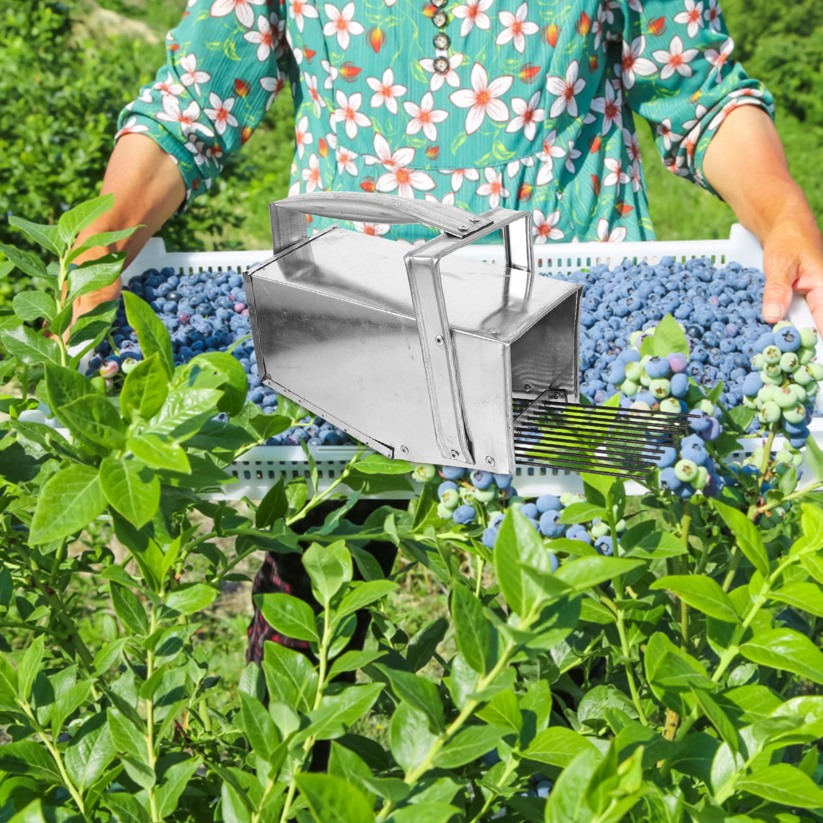 SOPOTUTU Fruit Picker Tools Berry Picker Metal Silver 1Pack - Walmart.com