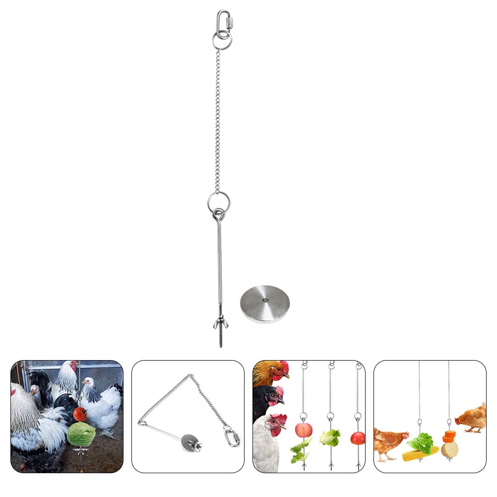 SOPOTUTU Hanging Vegetable Feeder 1Set Stainless Steel Chicken Feeding ...