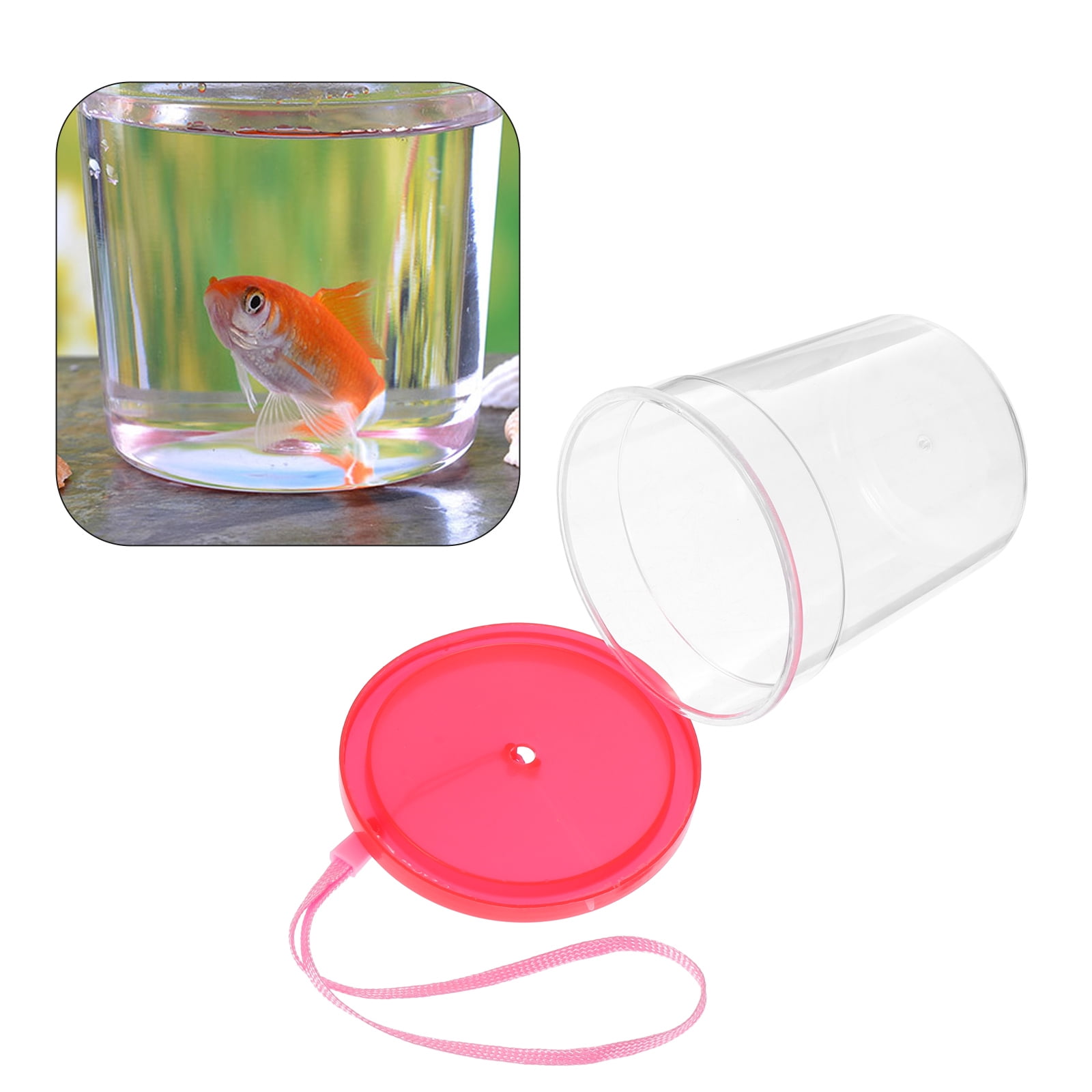 SOPOTUTU Clear Plastic Reptile Feeding Container for Small Turtles ...