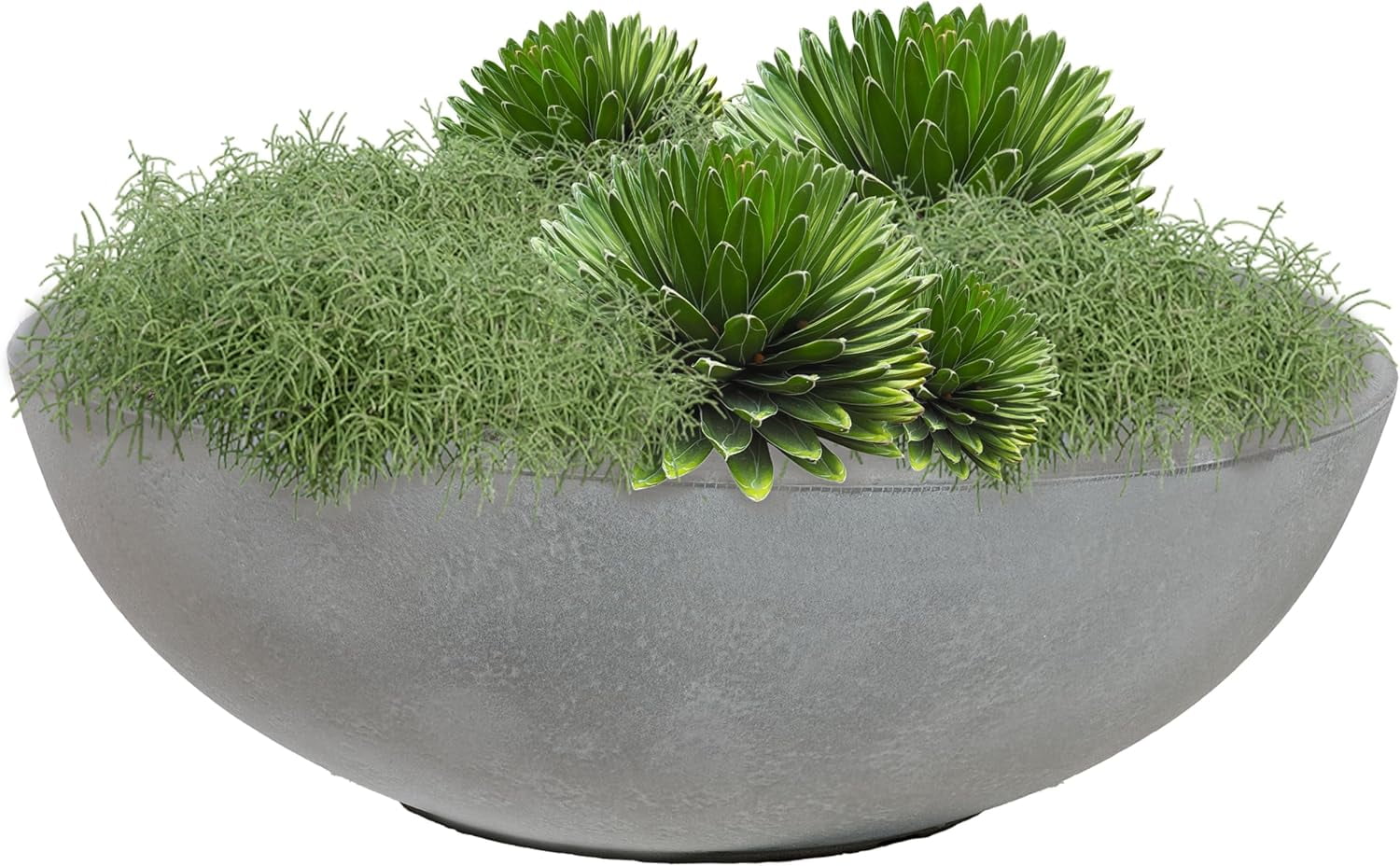 SOPTY Get This 20.75" Double - Walled Polyresin Shallow Planter in ...