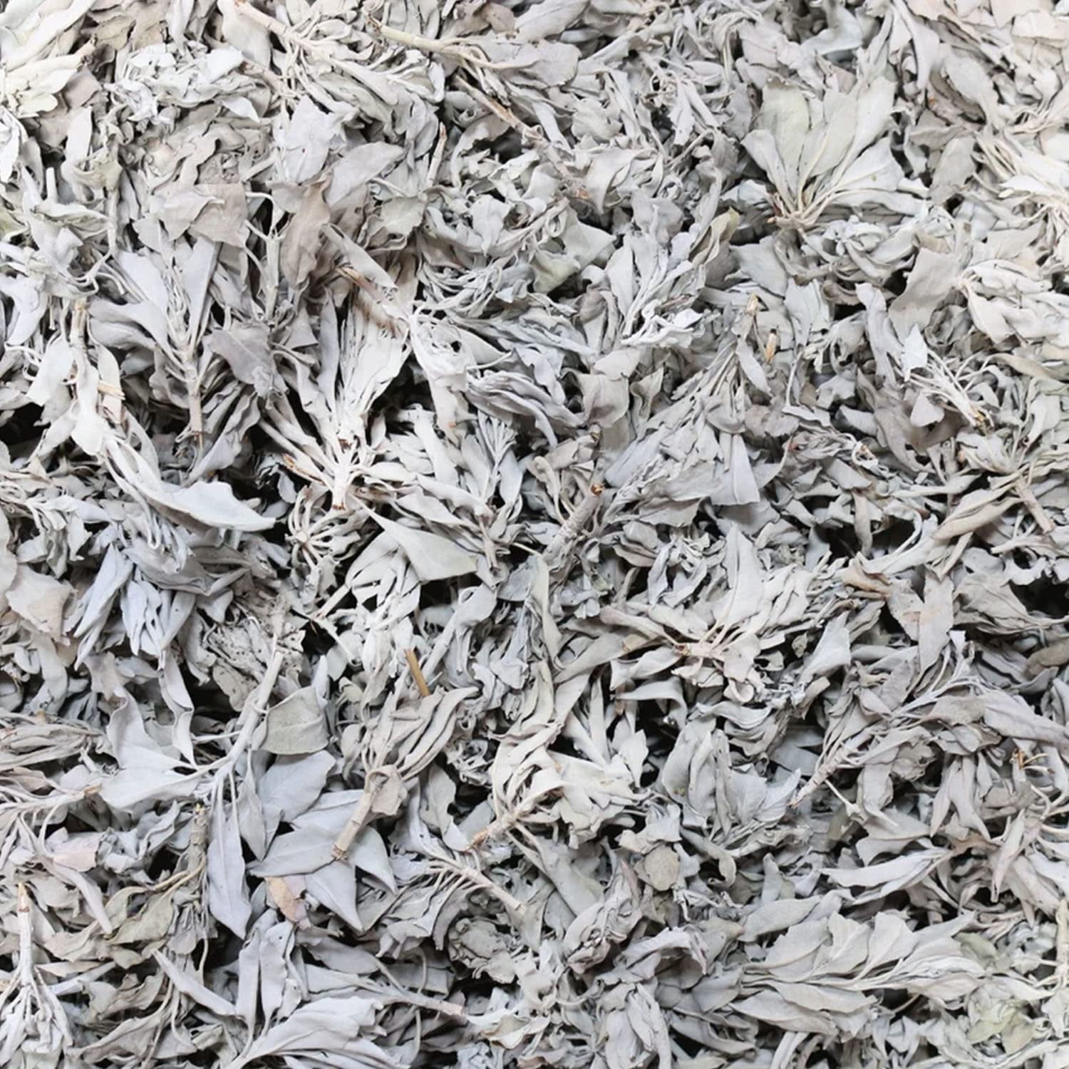 SOUL STICKS California White Sage Organic Loose Clusters Leaves Bulk ...