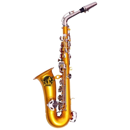 SOUND SAGA® Saxophone With All Accessories Including Mouthpiece & Case ...