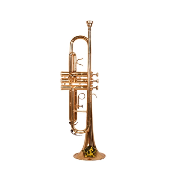 SOUND SAGA® Trumpet With All Accessories Including Mouthpiece & Case ...