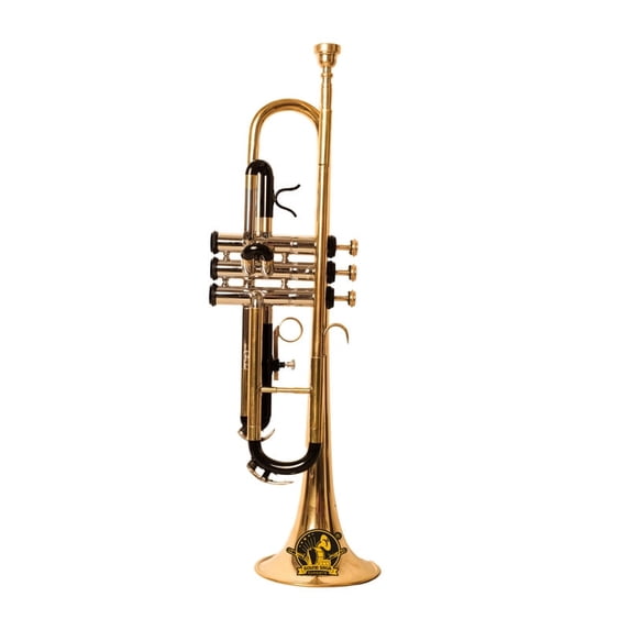 SOUND SAGA® Trumpet With All Accessories Including Mouthpiece & Case ...