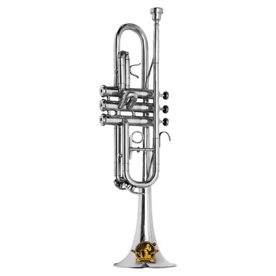 SOUND SAGA® Trumpet With All Accessories Including Mouthpiece & Case ...