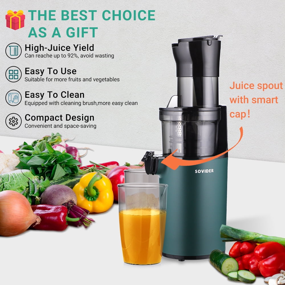 200W Electric Cold Press Masticating Juicer for Fruits, Vegetables ...