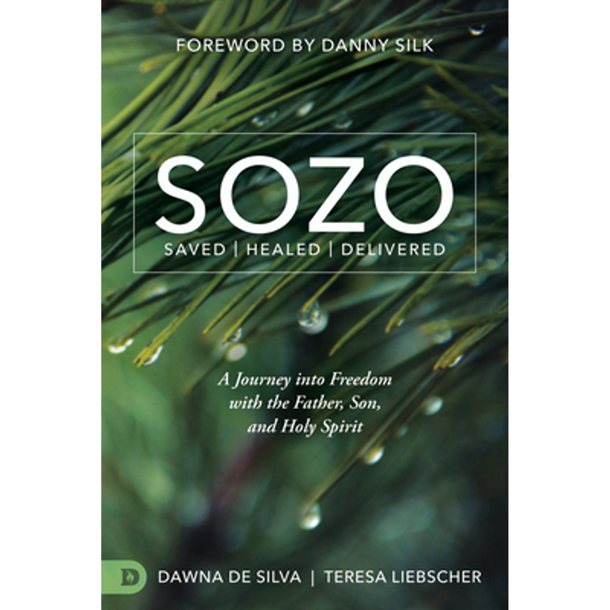 Pre-Owned SOZO Saved Healed Delivered: A Journey into Freedom with the ...