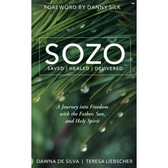 SOZO Saved Healed Delivered: A Journey into Freedom with the Father ...