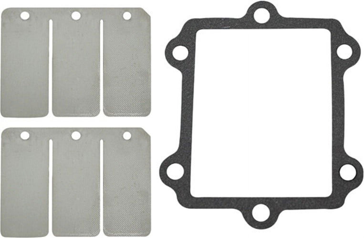 SP1 SM-07153C Reed replacement valve Rebuild Kit - Walmart.com
