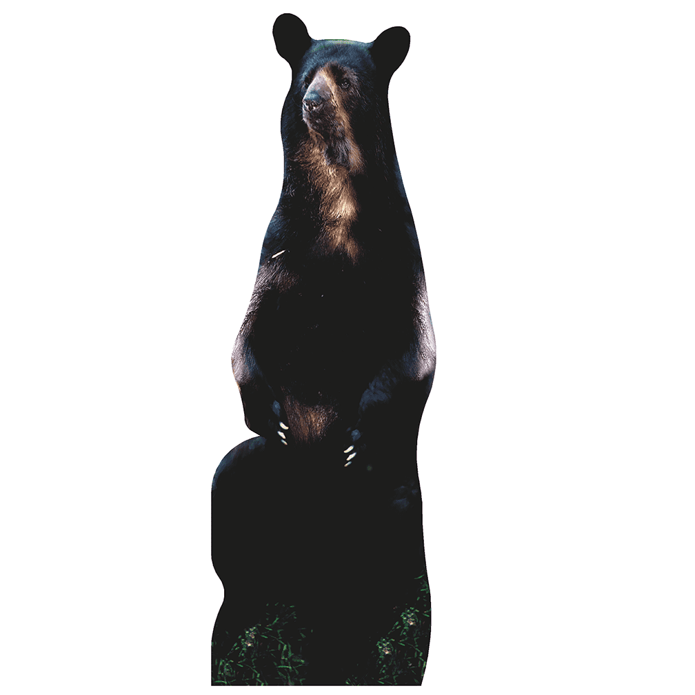 SP12130 Sitting Bear Animals Cardboard Cutout Stand up Standee ...