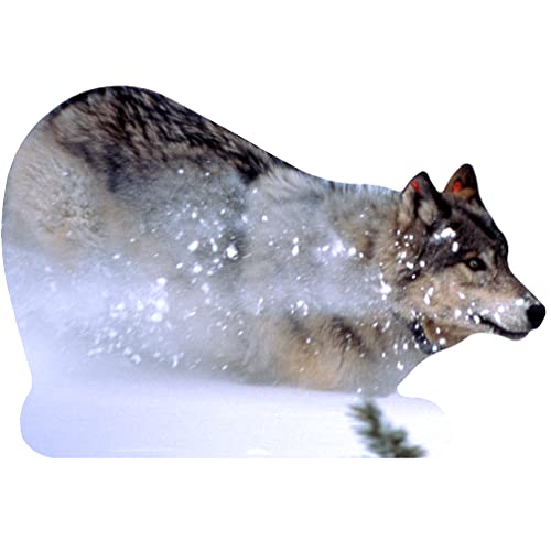 SP12469 Wolf in Snow Cardboard Cutout Standee Standup - Walmart.com