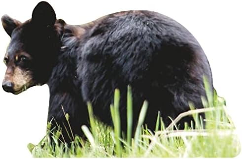 SP12473 Black Bear Cub Cardboard Cutout Standee Standup - Walmart.com