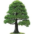 SP12476 Bonsai Tree Decoration Prop Cardboard Cutout Standee Standup ...