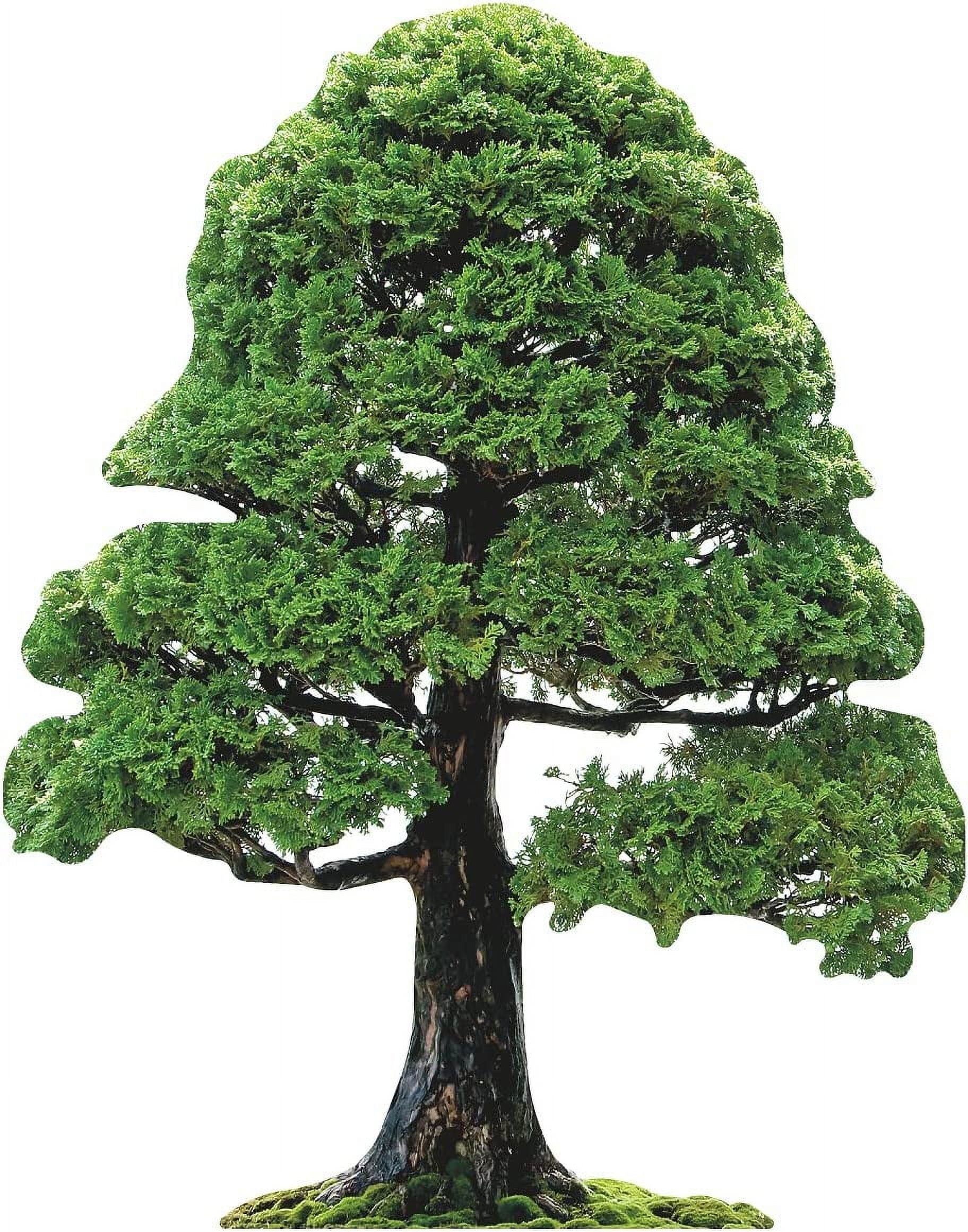 SP12476 Bonsai Tree Decoration Prop Cardboard Cutout Standee Standup ...