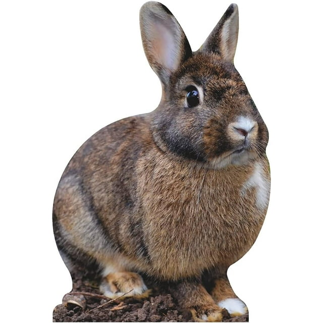 SP12504 Cute Bunny Rabbit Cardboard Cutout Standee Standup - Walmart.com
