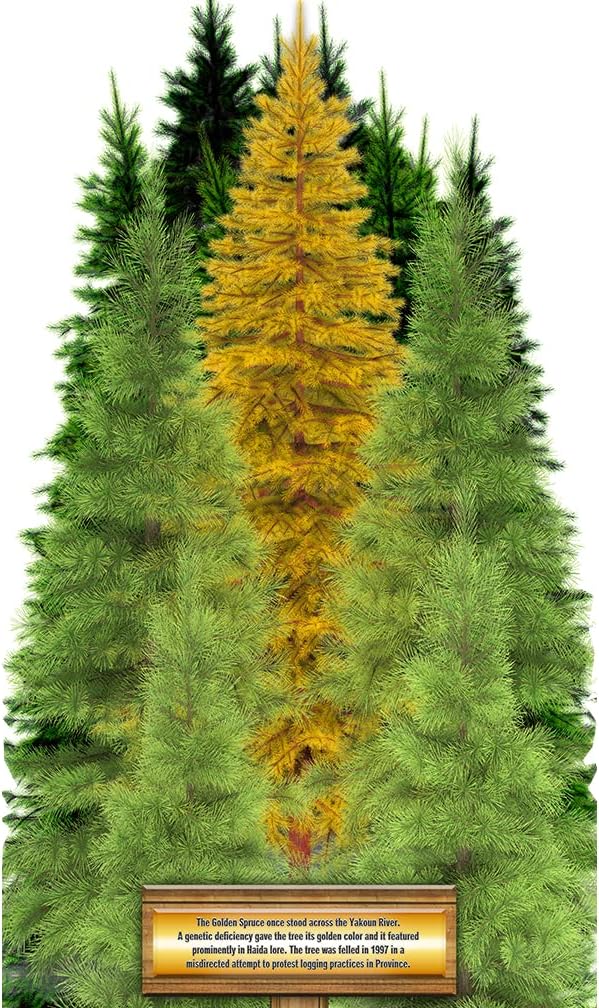 SP12621 Golden Spruce Most Famous Trees Cardboard Cutout Standee ...