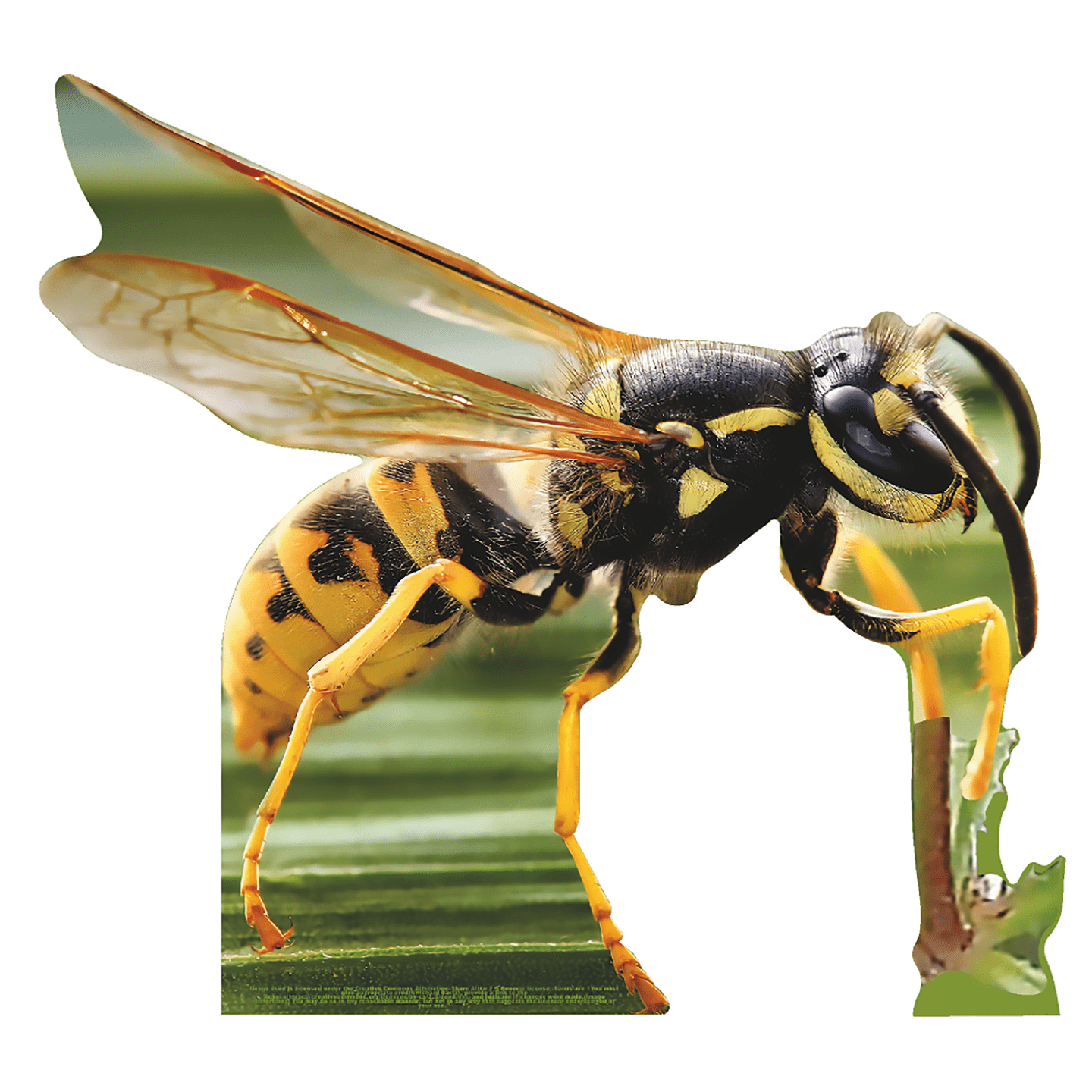 SP12652 Giant 44 inch Wasp Cardboard Cutout Standee Standup - Walmart.com