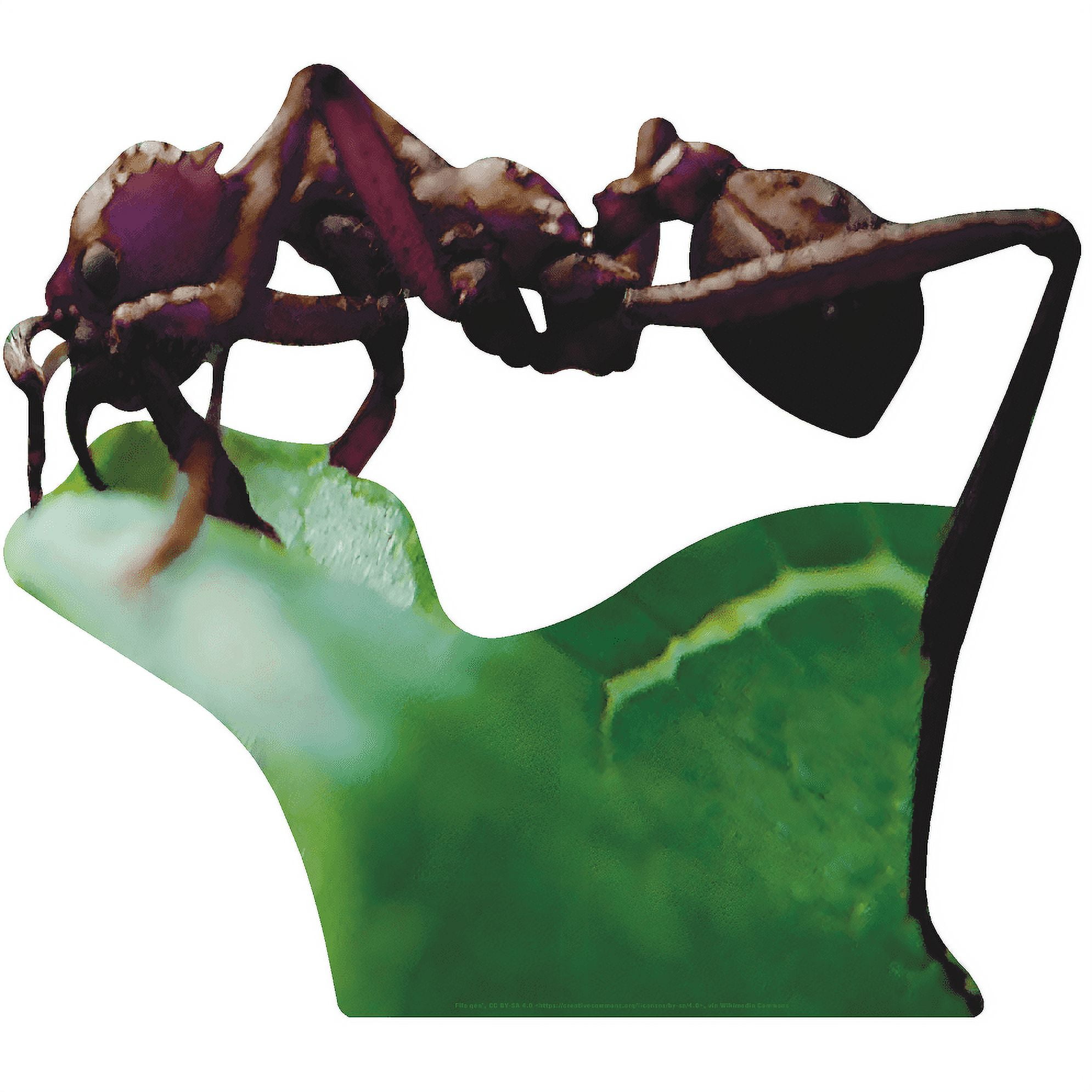 SP12655 Giant Ant on Leaf Cardboard Cutout Standee Standup - Walmart.com
