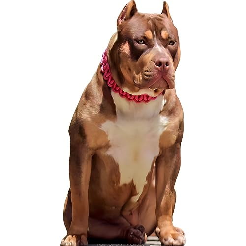 SP12813 Big Brooding Muscular Guard Dog Pitbull Pit Bull 46x24in ...