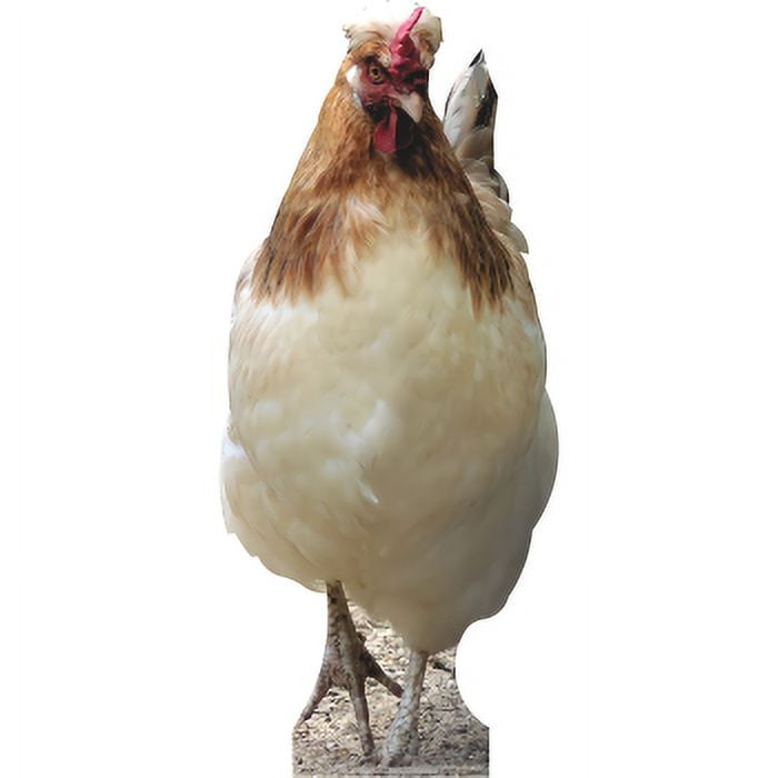 SP12888 Giant 7.5 Foot Cock Chicken Cardboard Cutout Standee Standup ...