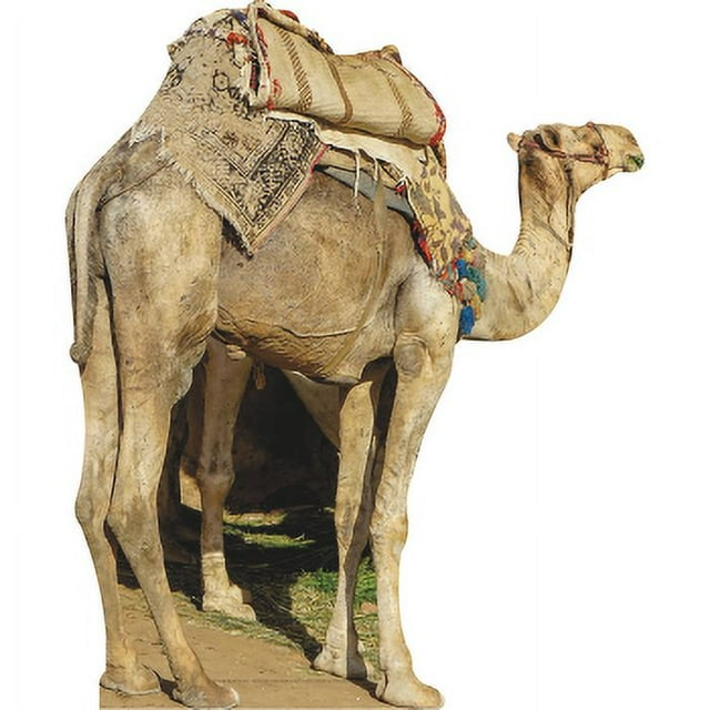 SP12890 Egypt Giza Camel Saddle Cardboard Cutout Standee Standup ...