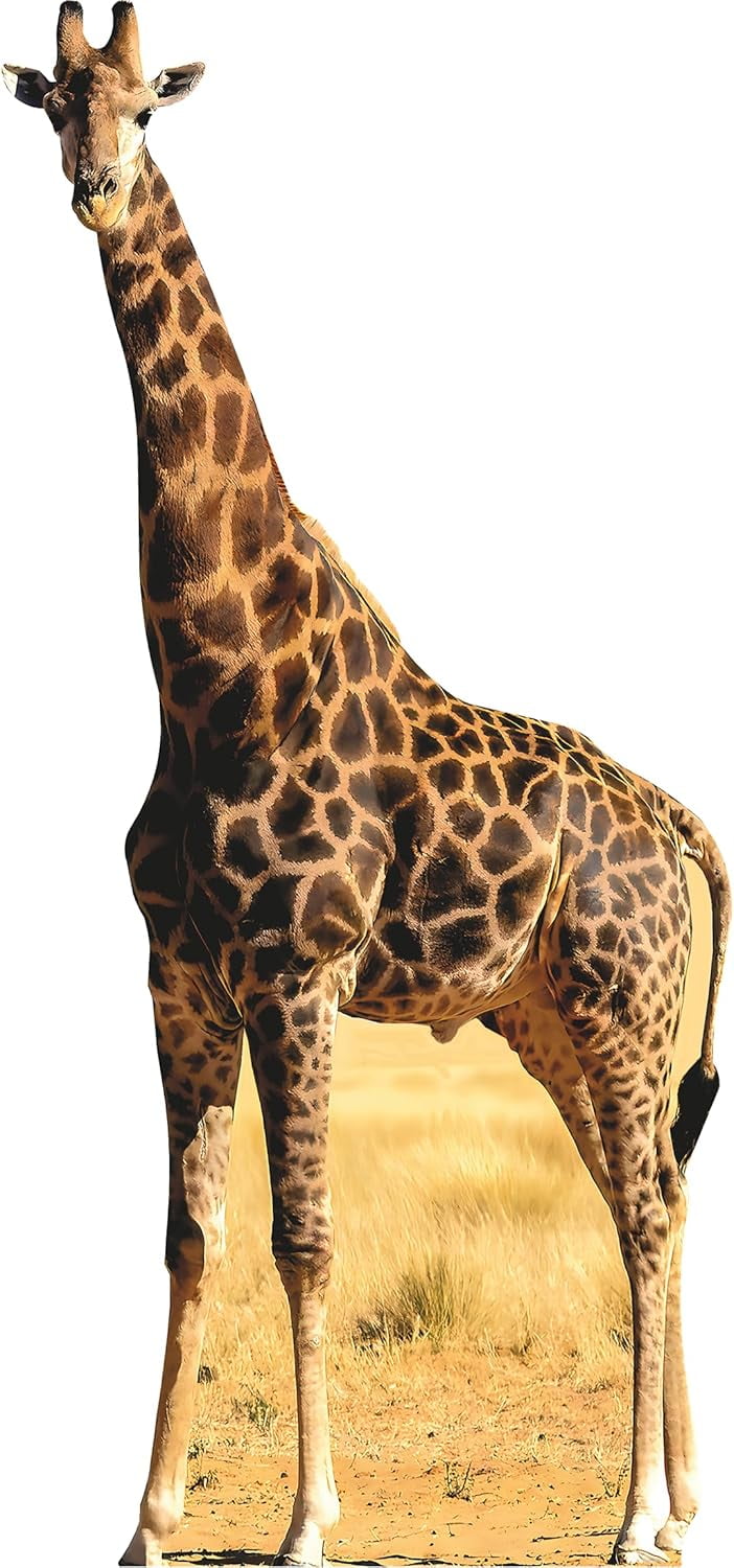 SP13054 Giraffe Cardboard Cutout Standee Standup - Walmart.com