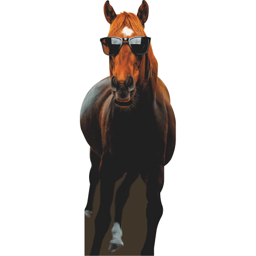 SP13106 Mr Horse With Glasses Cardboard Cutout Standee Standup ...