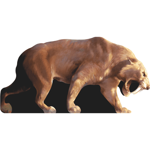 SP13328 Saber Tooth Tiger Smilodon Paleolithic Beast Cardboard Cutout ...