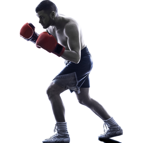 SP13405 Boxing Boxer Fight Dukes Up Cardboard Cutout Standee Standup ...