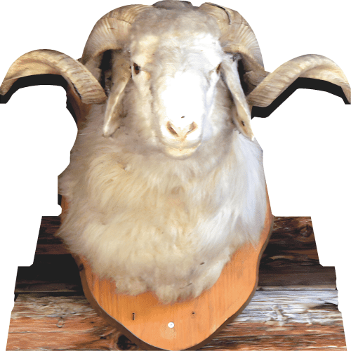 SP13507 Ram Sheep Mutton Rustic Wood Hunting Trophy Cardboard Cutout ...