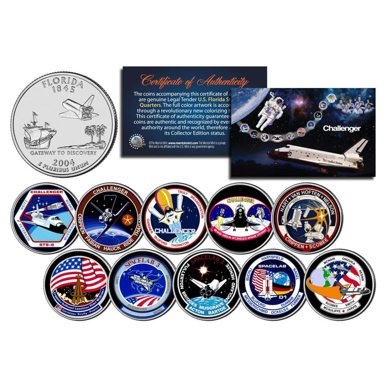 Nasa Insignia Challenger