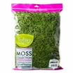 Moss Pot Toppers 12" 3/PkgGreen - Walmart.com