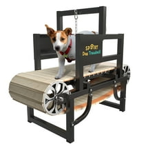 Demi Bonn 47" Dog Treadmill for Small and Medium Dogs, Pet Training ...