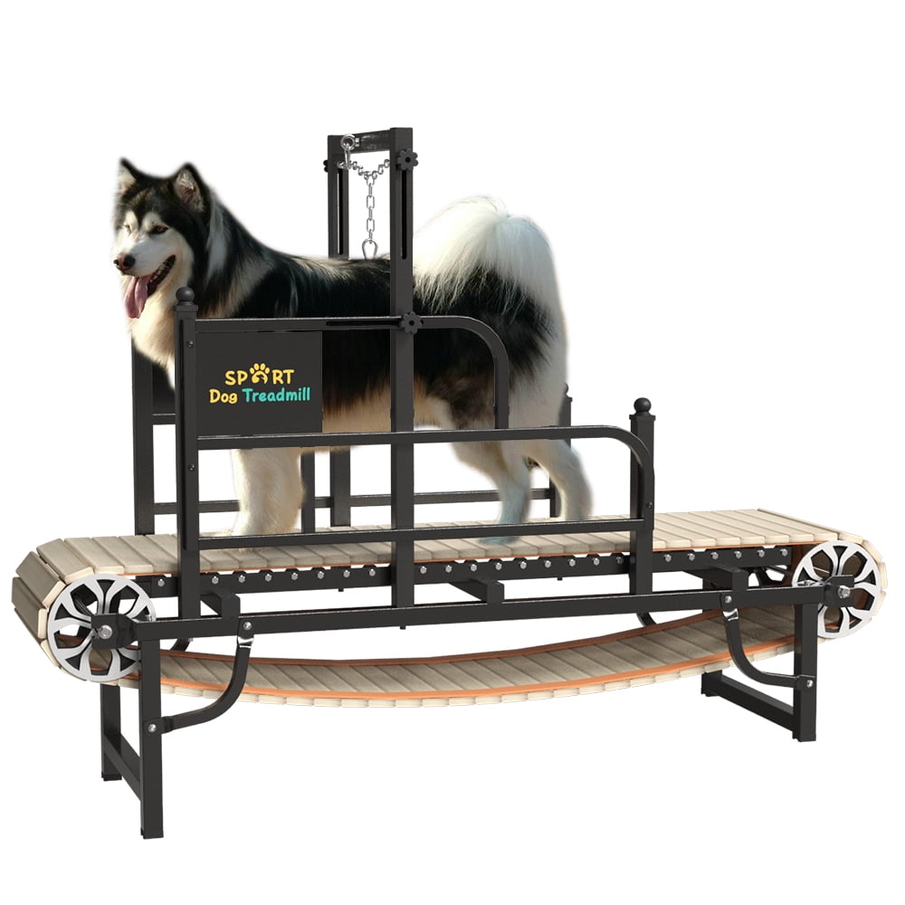 SPART Dog Treadmill for Large Dogs, Dog Slatmill for Healthy & Fit Dog ...