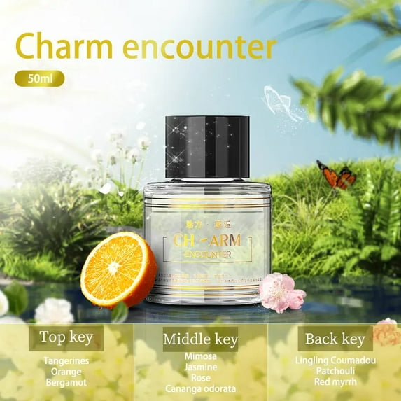 SPBTAR Charming Encounter Scented Oil for Cars - 50ml Premium Refill ...