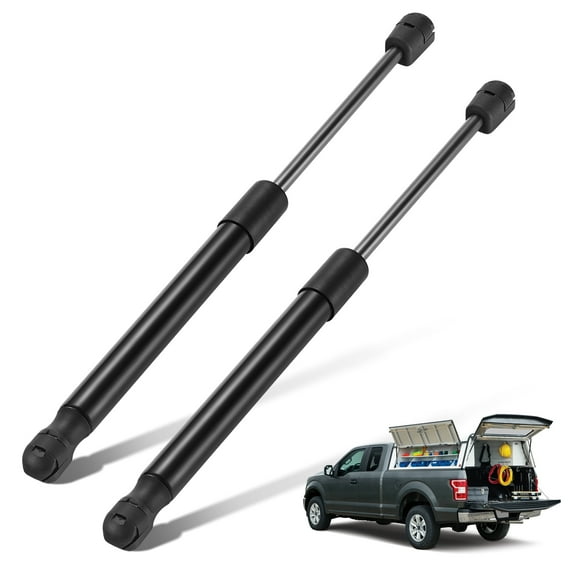 Leer Canopy Gas Struts