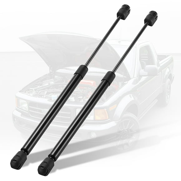 Leer Canopy Gas Struts