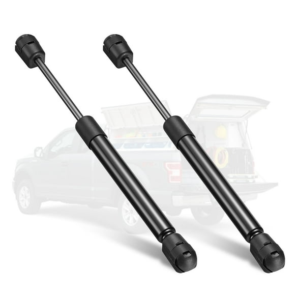 Leer Canopy Gas Struts