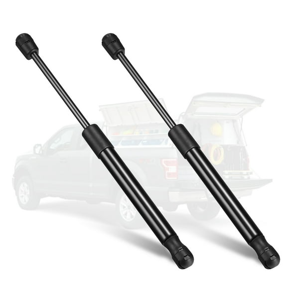 Leer Canopy Gas Struts
