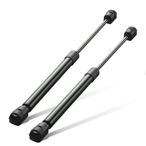 Leer Canopy Gas Struts