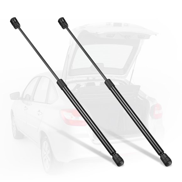 Leer Canopy Gas Struts