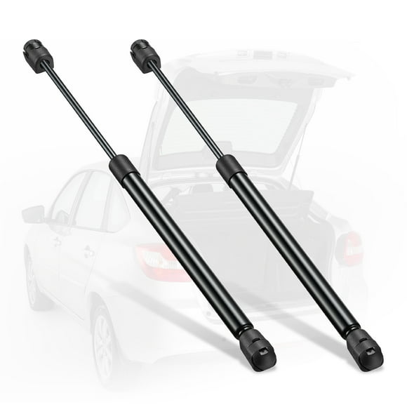 Leer Canopy Gas Struts