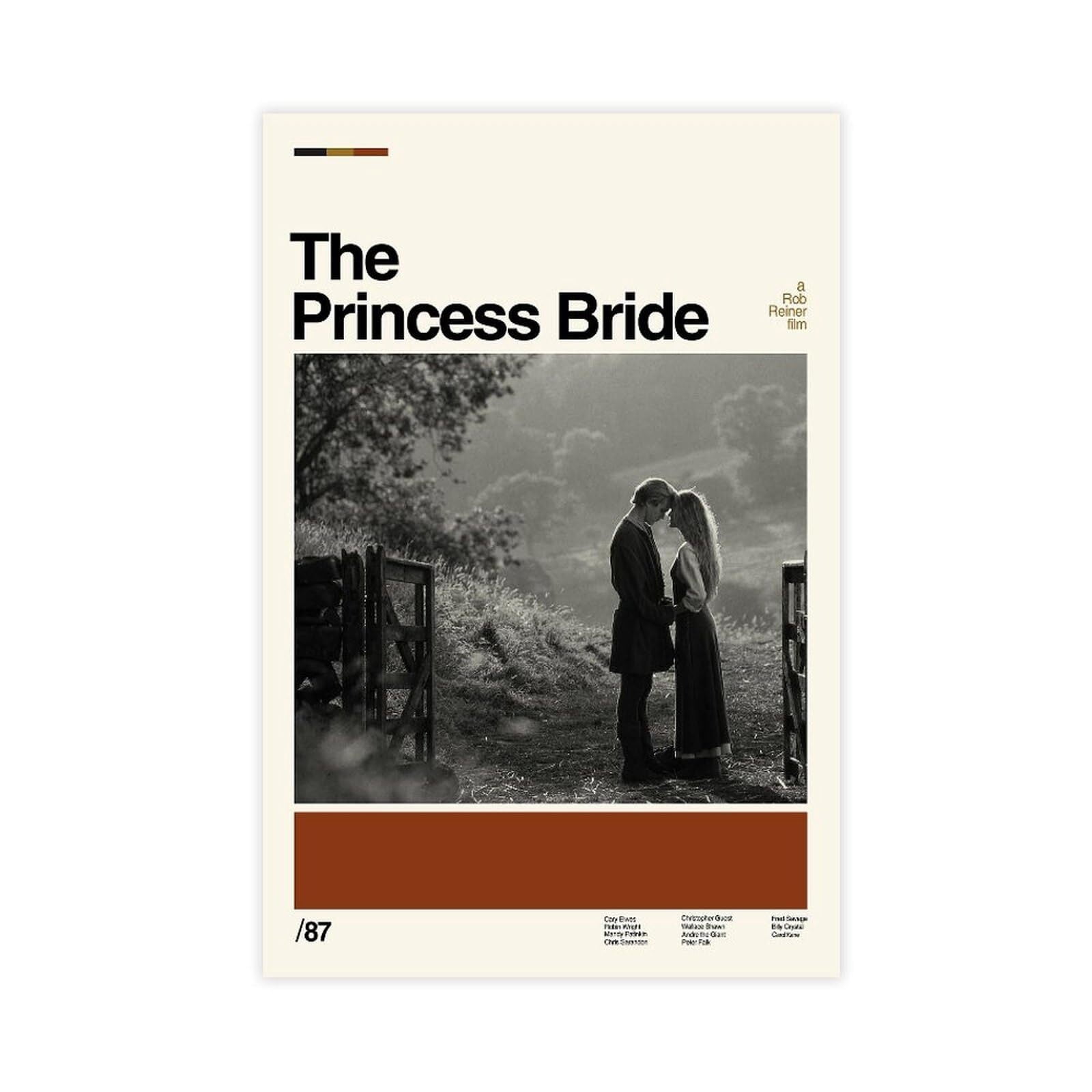SPFSBDFQ The Princess Bride Poster Movie Posters Canvas Poster ...