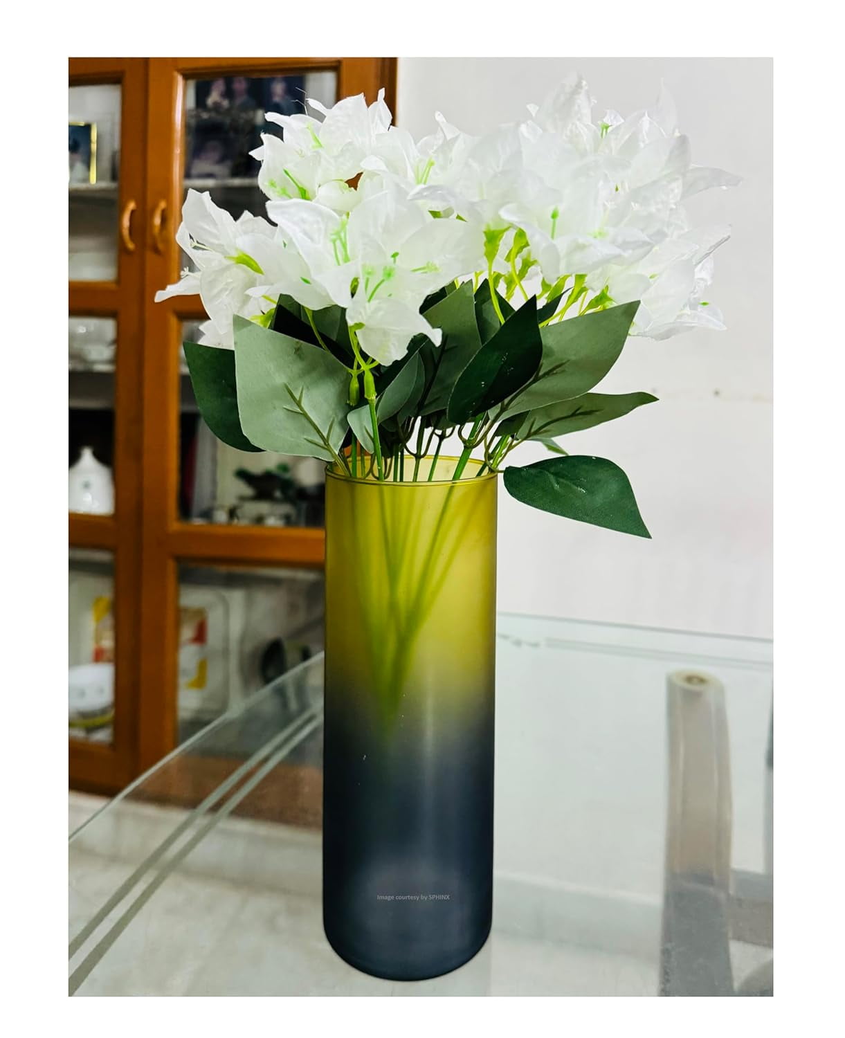 SPHINX Dual Toned Decorative Glass Cylinder Vase for Flowers Bamboo Money Plants Home Table ...